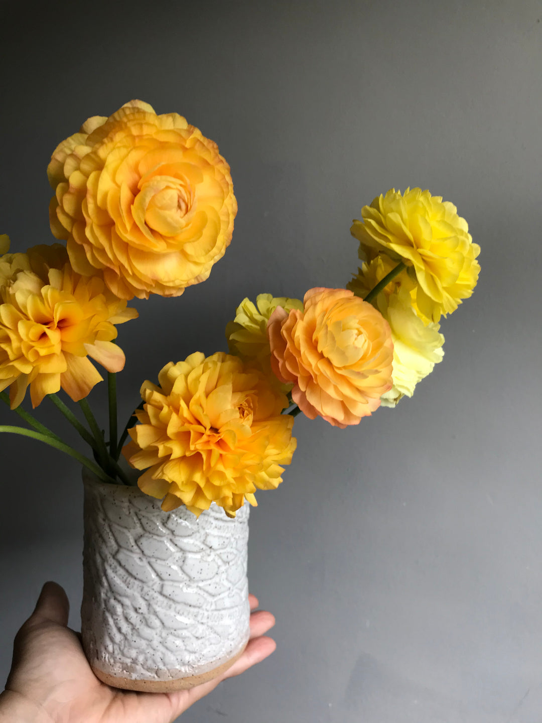 Products – Green Linnet